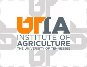 Visual Standards | UTIA Brand Standards